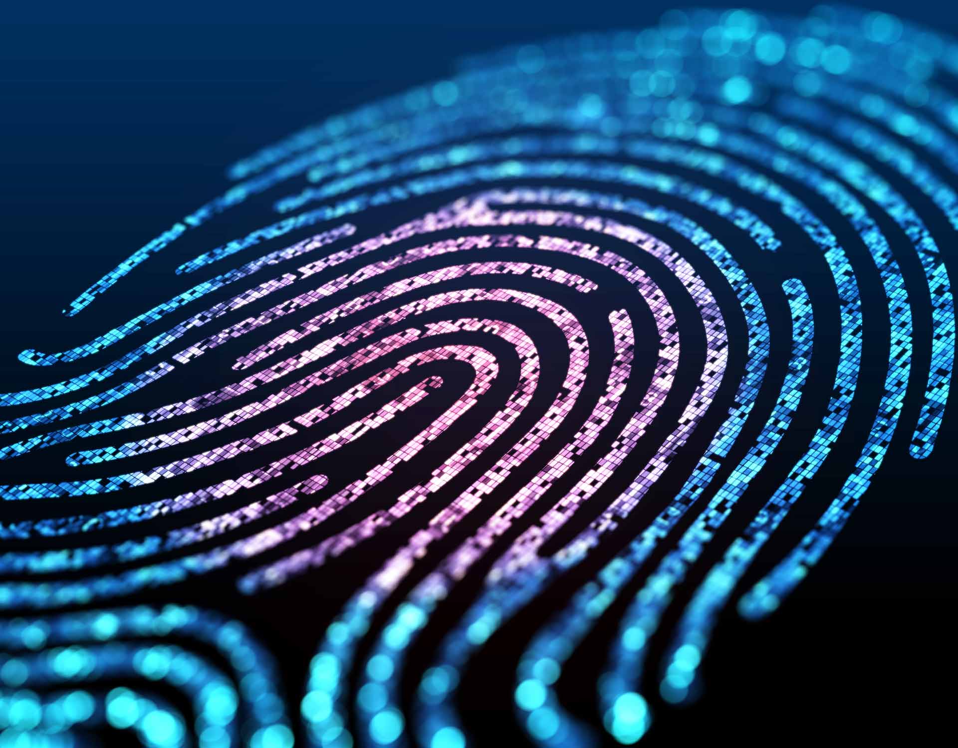 Sopra Steria and IDEMIA win a government contract to develop and ...