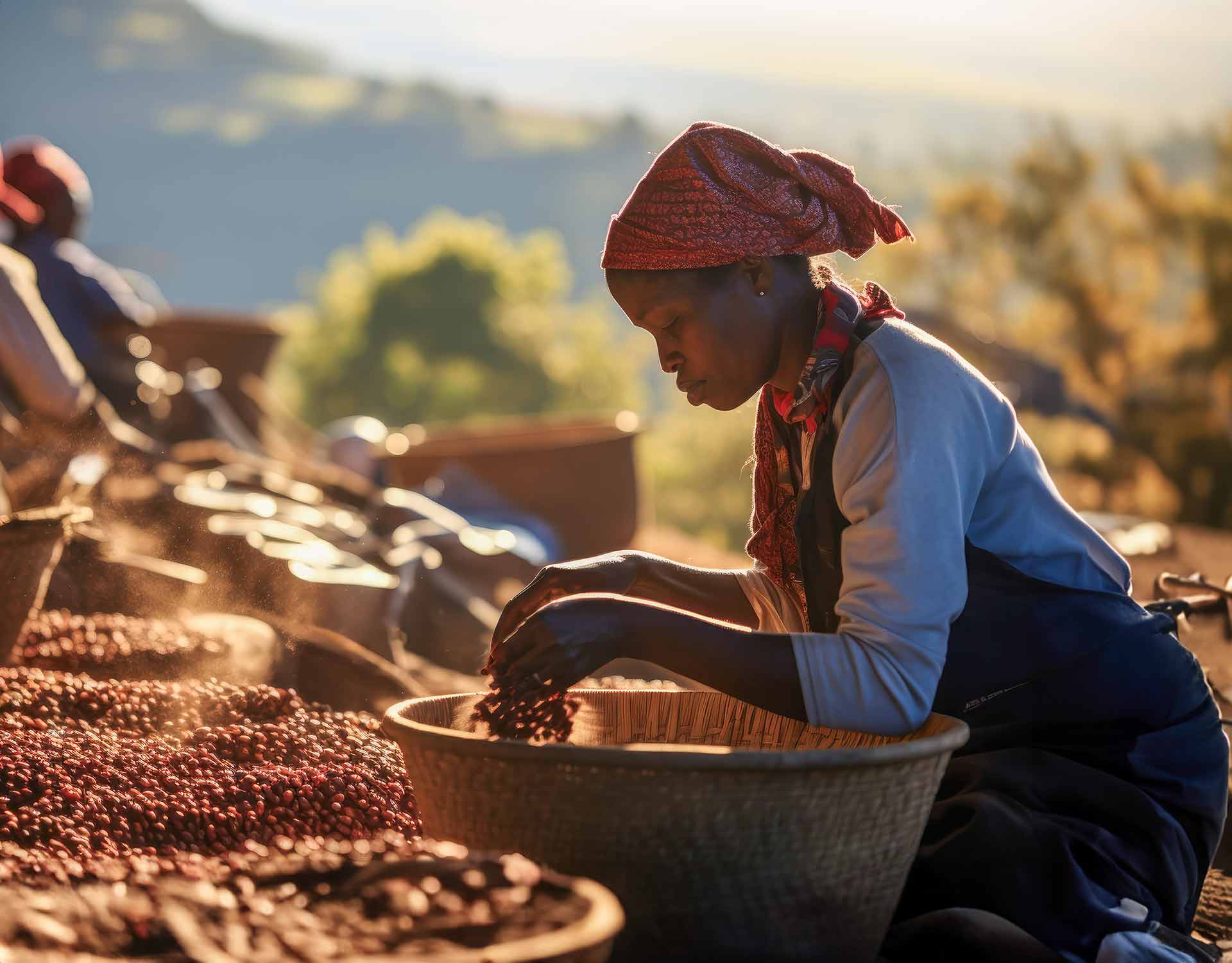 Community Pass 2024 | IDEMIA