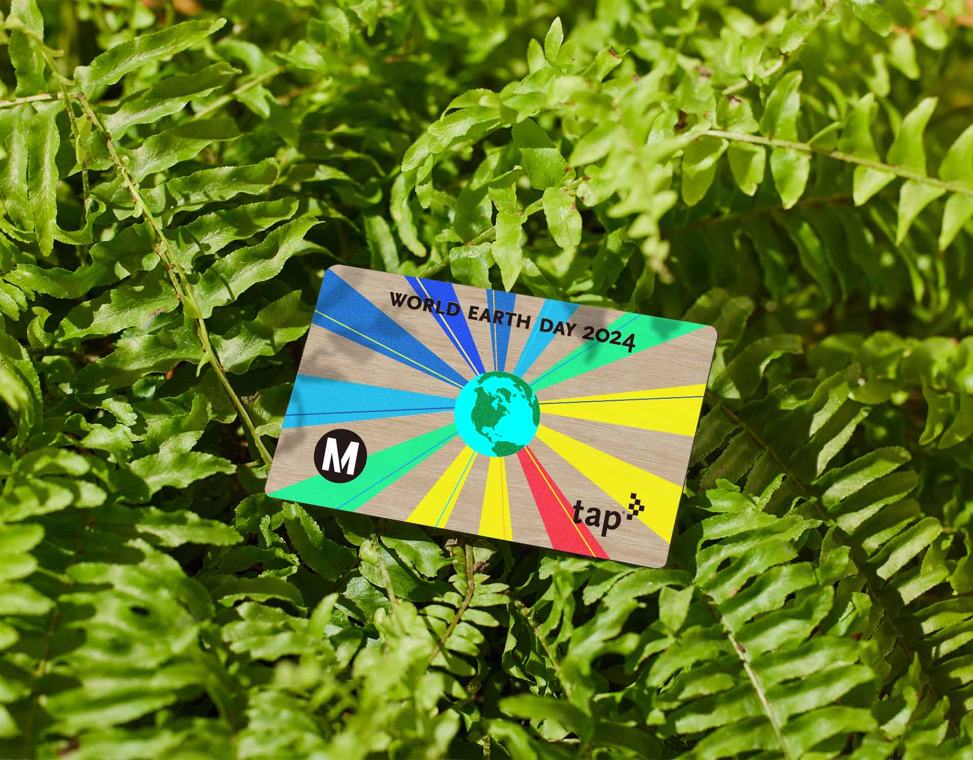 IDEMIA Secure Transactions Launches World’s First Bamboo Transportation ...